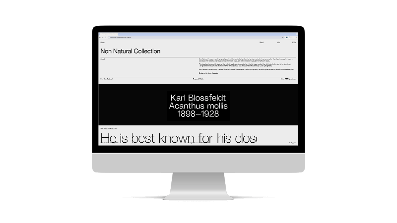 10 Best Type Foundries of 2024